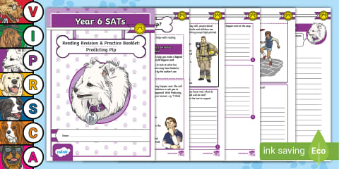 Predicting Pip What will happen next? Reading Quiz - KS2 Revision