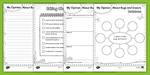 All About Insects Research, Write, and Draw Worksheet for K-2nd Grade