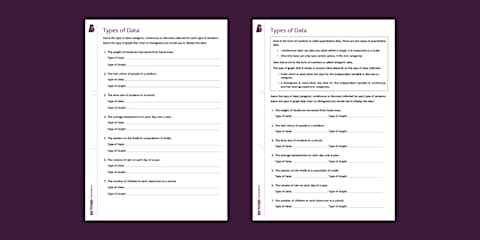 Variation Worksheet - Interactive