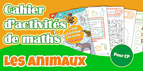 Maths (Measures-Money) Household Budgets Case Study (5th and 6th Class)
