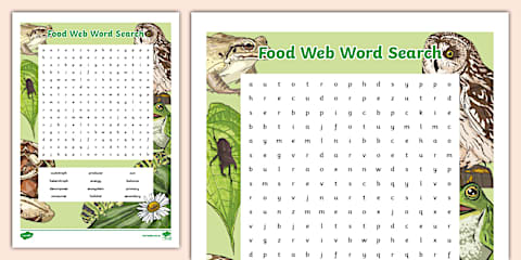 Food Chain Worksheet