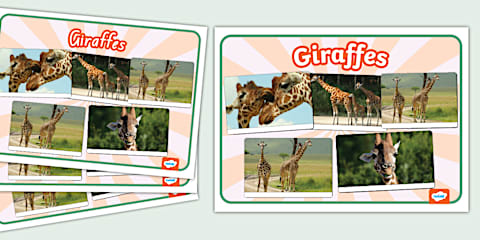 Safari Animals Button Placing Fine Motor Skills Activity