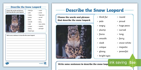 Snow Leopards Cloze Worksheet