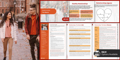 Sexual Relationships Lesson Pack