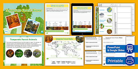 Temperate Climate Zones Fact File and Quiz