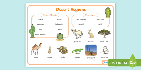 Desert-Themed Labels