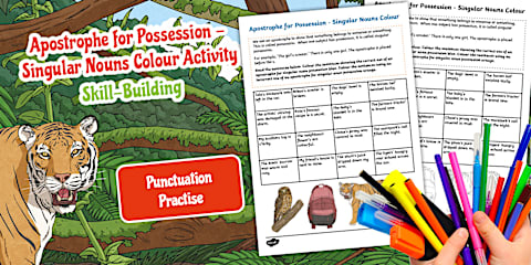 Apostrophes to Mark Plural Possession Activity