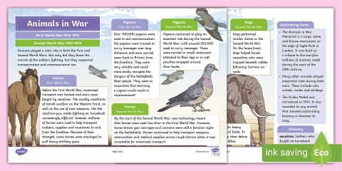 Animals in the First World War Fact File Template