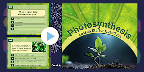 Photosynthesis PowerPoint & Google Slides for 6th-8th Grade