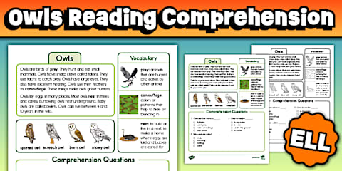 Rainbows Reading Passage Comprehension Worksheet for ELL
