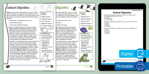 Animal Migration Research Worksheet