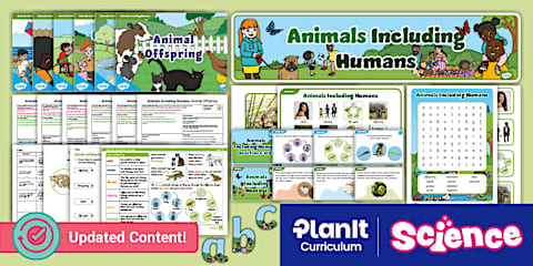 What Do Animals Need to Survive? (Ages 6 - 7)