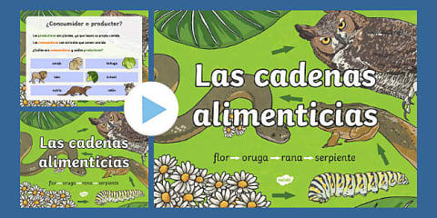 Sopa de Letras Cadenas Alimentarias