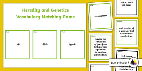 Types of Reproduction in Organisms Heredity Worksheets for 6th-8th Grade