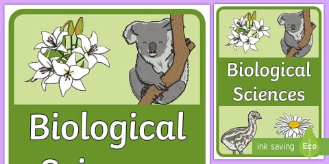 Watch It Grow! Year 2 Biological Sciences Book Cover