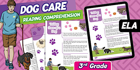 Taking the Dog for a Walk Sequencing Cards
