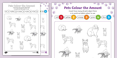 Pets Picture and Vocabulary Matching Worksheet for ELL