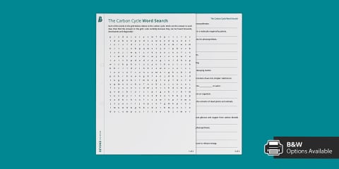 Carbon Cycle Cut and Paste Worksheet