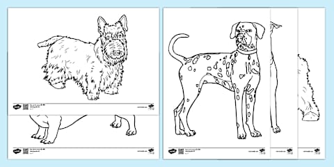 Dog Mindfulness Colouring Sheets