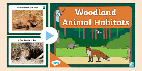 Woodland Habitat Interactive Labelling