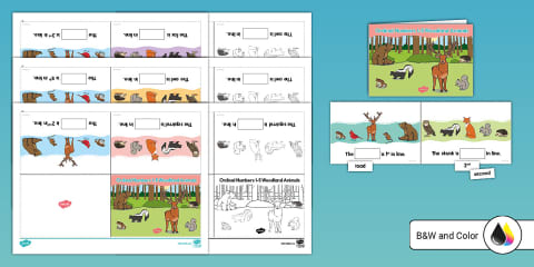 Early Childhood Find the Missing Ordinal Number Train Worksheet