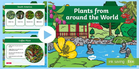 Seasonal Changes in Plants and Animals PowerPoint