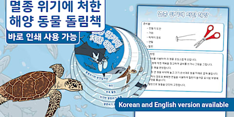 여름 모험 창의적 글쓰기 | A Summer Adventure Short Burst Writing Template