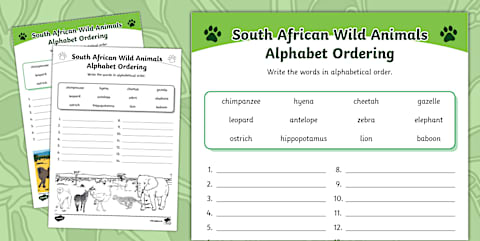 Foundation Phase Home Language - The Big Five - Pencil Control ...