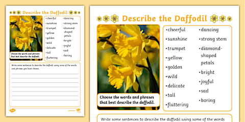 Daffodil Poem Writing Template