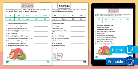 Antonym Matching Worksheet