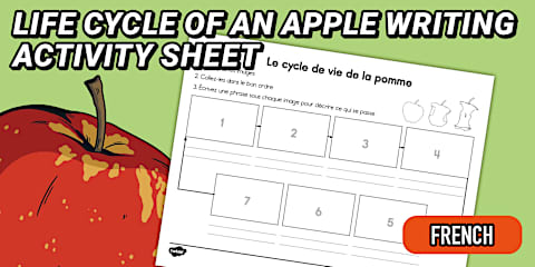 Le cycle de vie d'une pomme