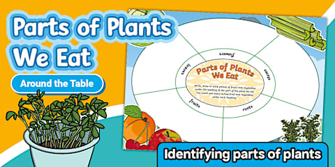 Plant Parts and Plant Needs Interactive Sorting Game