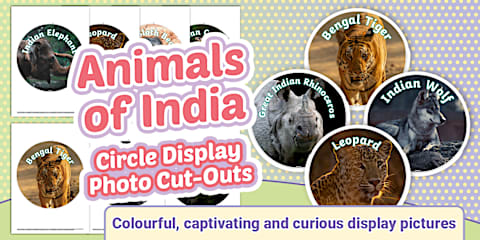 Cloudy Skies Circle Display Photo Cut-Outs