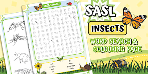 Foundation Phase - SASL - Alphabet - Bunting (CAPS Aligned)