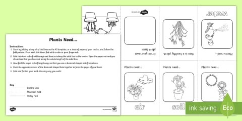 What Plants Need Interactive Visual Aid Template