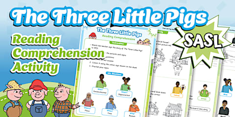 Foundation Phase - SASL - The Little Red Hen - Wh- Questions - Reading ...