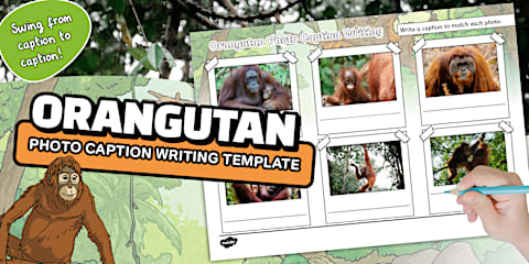 Sloth Mosaic Colouring Sheets