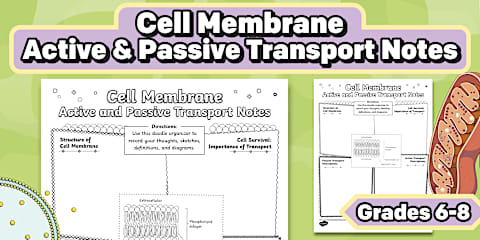 Cell Transport Osmosis Lab for 6th-8th Grade