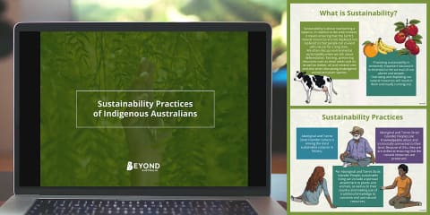 Sustainability Activities for Kids | Year 3-6 | AC9HS4K05