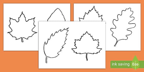 Printable Tree Branch Template | Primary Resource | Twinkl