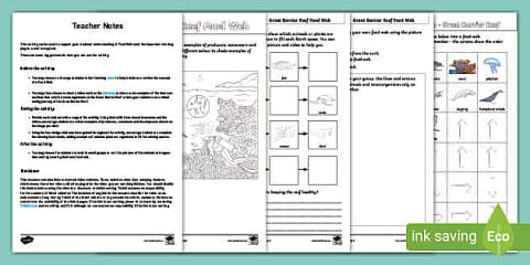 Grasslands Food Web Activity