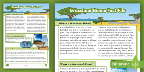 Tundra Biome PowerPoint & Google Slides for 3rd-5th Grade