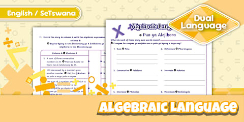 Grade 7 Maths - Term 1 - Algebra – Substitutions – Lesson Plan ...
