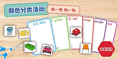 Human and Physical Features of the Amazon Rainforest Sorting Cards ...