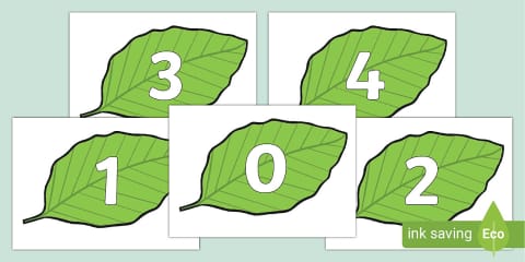 Numbers 0-20 on Rainforest Leaves