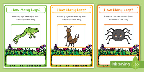 Photo Animal Leg Sorting Activity - photo, animal, leg, sorting ...