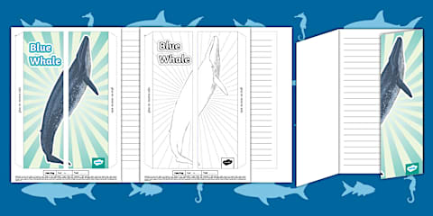 Blue Whale Research Report for 3rd-5th Grade