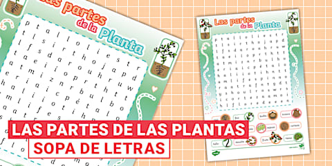 Triorama: Partes de una planta en flor