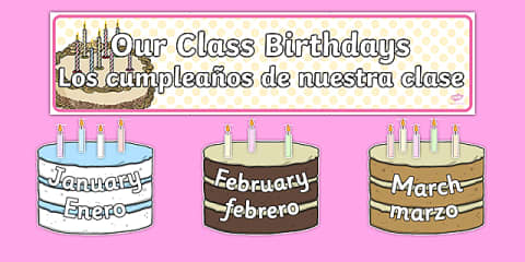 Blooming Birthdays Flower Display Pack Spanish