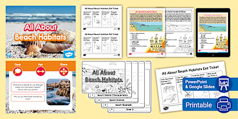 Kindergarten All About Beach Habitats Reading Passage Comprehension ...